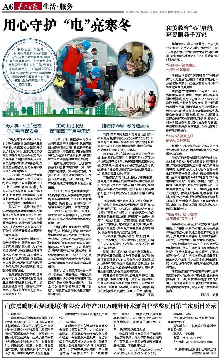 山东晨鸣纸业集团股份有限公司年产30万吨针叶木漂白化学浆项目第二次项目公示 寿光日报
